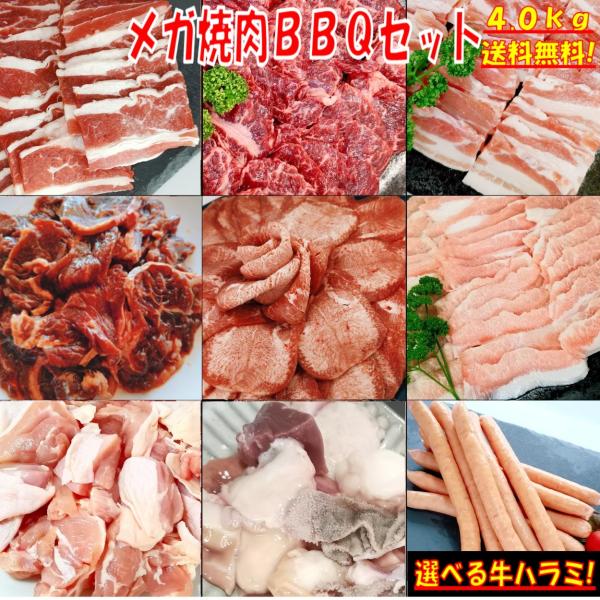 メガ盛り 肉 牛タン 薄切り バーベキュー 食材 セット 焼肉セット商品購入後レビューを書いて次回ご利用頂けるクーポンゲット！！セット内容牛タンスライス　２.5ｍｍ　　　　　   ３００ｇ牛ハラミタレ漬け　　　　　　　　　　５００ｇ牛ハラミ...