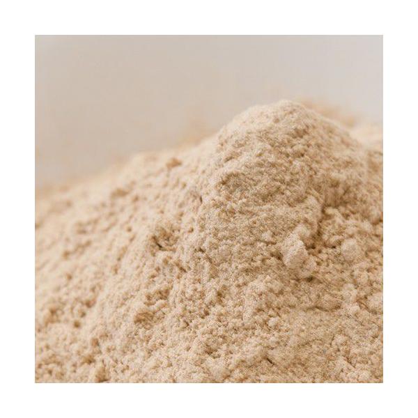 [中華　イタリアン　業務用　仕入れ]大蒜を乾燥させ粉状にしたものです。カレーに加えると、コクと旨味が倍増します。世界各地で色々な料理に使われています。肉類・魚介類の消臭に、下ごしらえに加えたり、ドレッシング、ガーリックバターをつくったりなど...