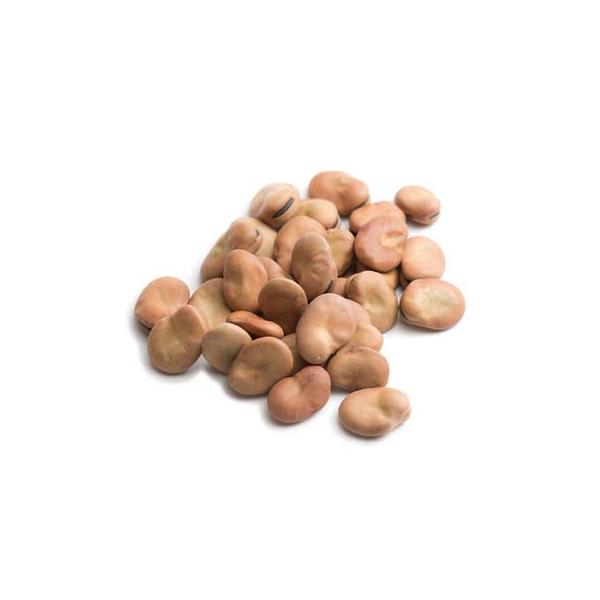 ■商品名：ソラマメ 大粒■内容量：1kg■原材料名：ソラマメ■商品形態：常温■賞味期限：730日※賞味期限は各商品に記載されています。■原産国：オーストラリア■保存方法：※直射日光、高温多湿を避け、開封後は冷暗所にて密封保存してください。※...