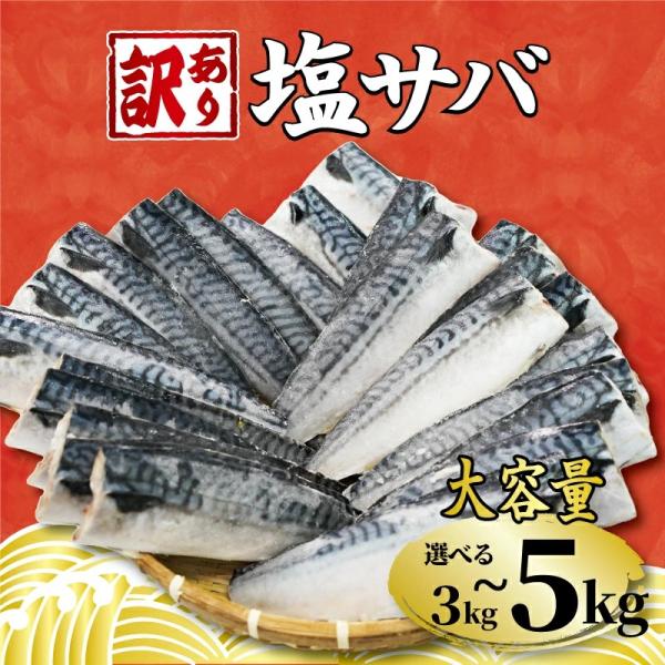 商品情報【内容量】約5kg【原材料】鯖(ノルウェー)、食塩【賞味期限】製造日から冷凍保存(-18度以下で保存)で8ヶ月以内【商品の特徴】人気の鯖フィーレを大容量の選べる【内容量】約3kg、約3.5kg、約5kgでご用意いたしました。容量の他...