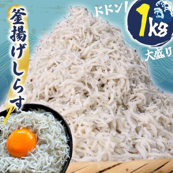 商品情報【内容量】・約1kg【付属品】パンフレット【原材料】イワシ稚魚、食塩【賞味期限】発送日から1ヶ月【商品説明】九十九里産のシラスをふっくら仕上げの釜揚げにしました。天日干し製法にて仕上げてあります。小分けで冷凍保存しやすいように約25...