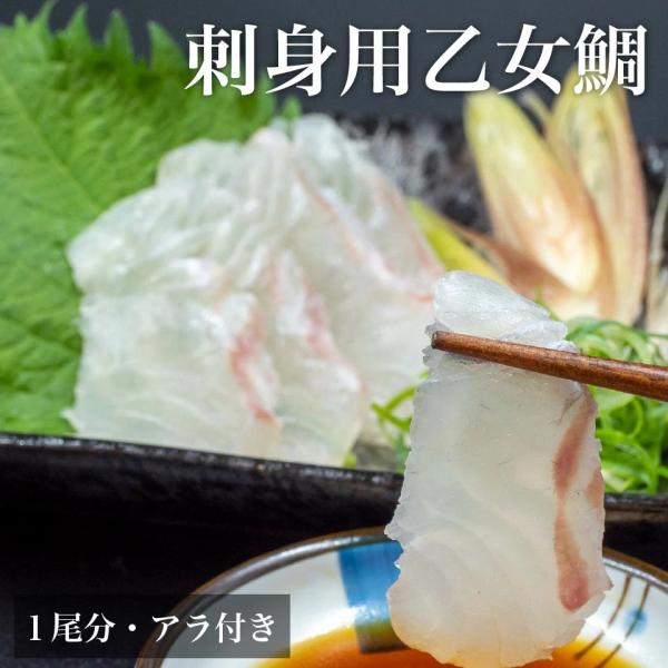 商品情報【内容量】1尾分（原魚1.2kg程度）頭とアラ付き【原材料】真鯛（高知県産）【賞味期限】出荷日含め4日程度【商品の特徴】黒潮 が流れる高知の豊かな海で育った 「乙女鯛」。薬や抗生物質は一切使わず丁寧に育てられた自慢のブランド鯛です。...