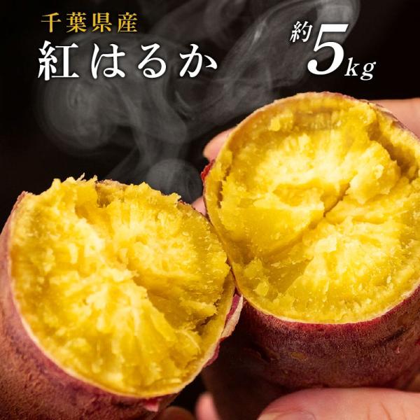 【内容量】約5kg【原材料】紅はるか（千葉県香取郡東庄町で生産）【賞味期限】発送日から2ヶ月【商品説明】千葉県産のさつまいもをお届けします。できる限り農薬に頼らず、大切に育てています。焼き芋はもちろん、天ぷらや大学いもにしても美味しい！【ア...