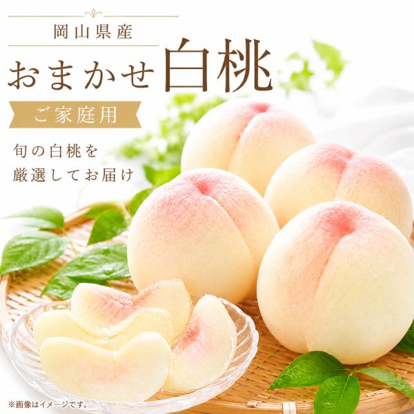 【発売日：2026年07月01日】桃の数は目安としてお考えください。名称：『加納岩白桃』 『白鳳』 『千種白鳳』 『本白桃』 『川中島白桃』 『白麗』 『あきぞら』のいずれかを発送させていただきます。産地名：岡山県赤磐市保存方法：直射日光を...