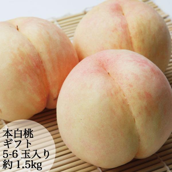 本白桃の特長岡山で古くから“白桃”として作られてきた品種が『本白桃』です。甘露な味わいで、多くの食通と呼ばれる著名人から愛されてきました。本白桃の果肉は緻密で果汁に満ち、花のような香りを放ちます。果汁にはほんの少し渋みが含まれ、それが甘みと...
