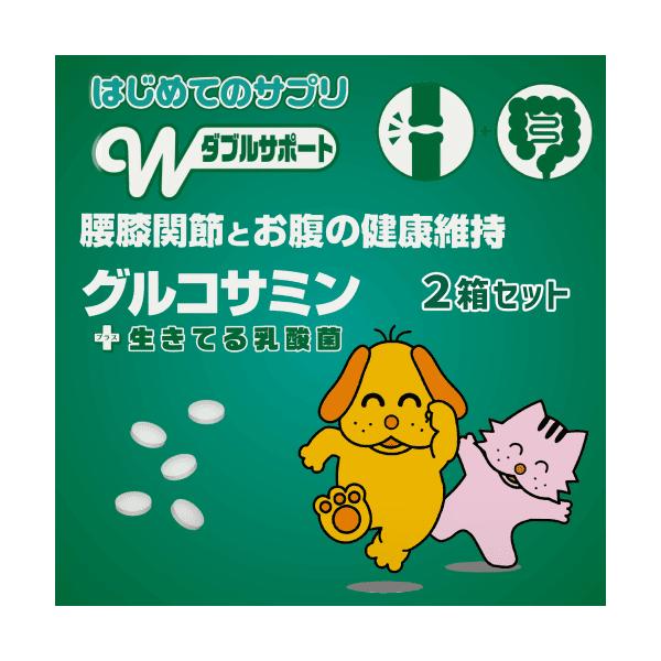 猫 乳酸菌 猫 サプリ 猫サプリ 猫用サプリ 乳酸菌 猫 免疫 サプリメント 猫 関節 腰 ひざ コンドロイチン はじめてのサプリ グルコサミン 粒状 ２箱セットお徳用２箱セット2つの機能が1つになって、健康をＷサポート3種類の生きてる乳酸...