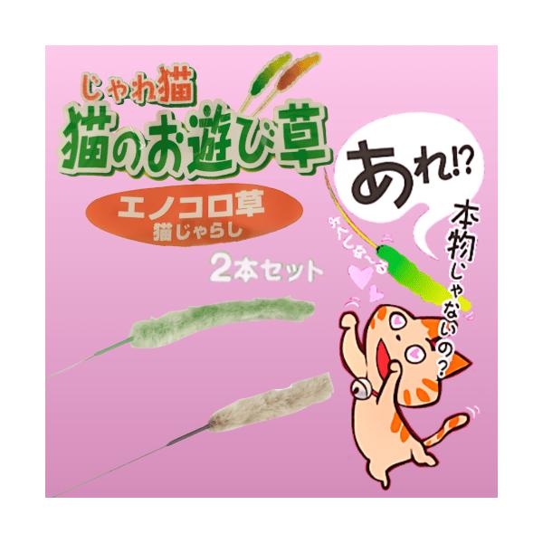 猫 おもちゃ 猫じゃらし 棒タイプ スティック 猫グッズ ねこじゃらし 猫用品 運動 遊び ランニング エノコロ草 じゃれ猫 猫のお遊び草 2本セットまるで本物のエノコロ草みたいなおもちゃ本物とちがってタネがおちない！枯れない！衛生的！・本...