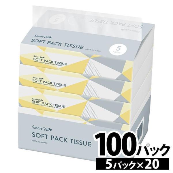 （検索用：ティッシュ ティッシュペーパー ソフトパックティッシュ ティッシュ まとめ買い スマートエール ）  ●翌日優良配送対象商品につきまして● 下記の場合は対象外となります。 ・13時以降(休業日は12時以降)のご注文の場合 ・お届け...