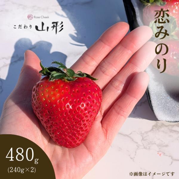予約注文開始！バラ農家がつくる至福のいちごです！甘く豊かな香りとジューシーな果汁あふれる、至高の苺「恋みのり」果肉いっぱいに広がる豊かな甘みと、甘美で芳醇な香り。<br>今注目の人気品種「恋みのり」を、当園ならではの丁寧な栽培で...