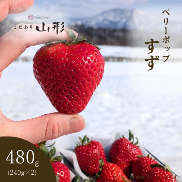 予約注文開始！バラ農家がつくる至福のいちごです！中まで真っ赤。鈴なり実る、濃厚な一粒。ギュッと詰まった甘みとコクを楽しむ苺「すず」。濃密な甘みと、しっかりとした歯ごたえ、そして断面の美しさ。これから話題を集める、注目の新品種「すず」を、当園...