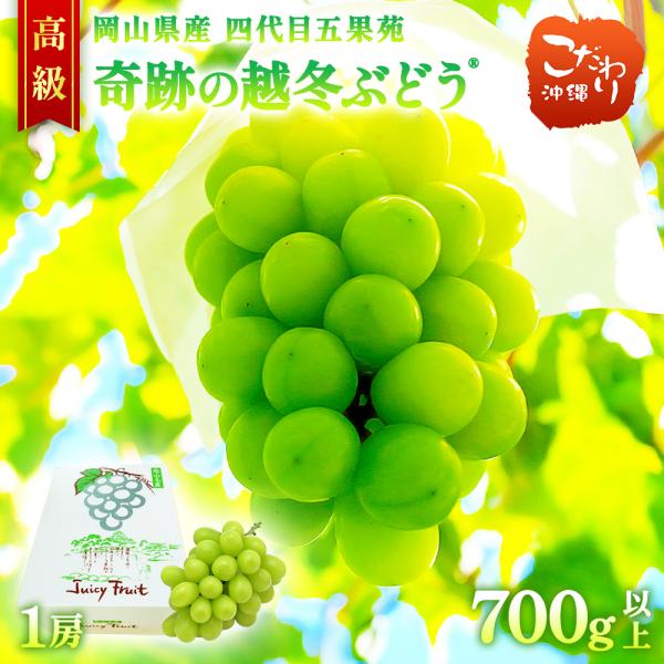 出荷期間：11月〜3月頃にご予約順に発送予定です。 冬を越えてさらに濃厚に、上品に甘く、香り高く。厳しい寒さの中で丹精込めて熟成された特別な逸品「奇跡の越冬ぶどう」。100年以上続く果樹園 四代目五果苑が自信を持ってお届けします。