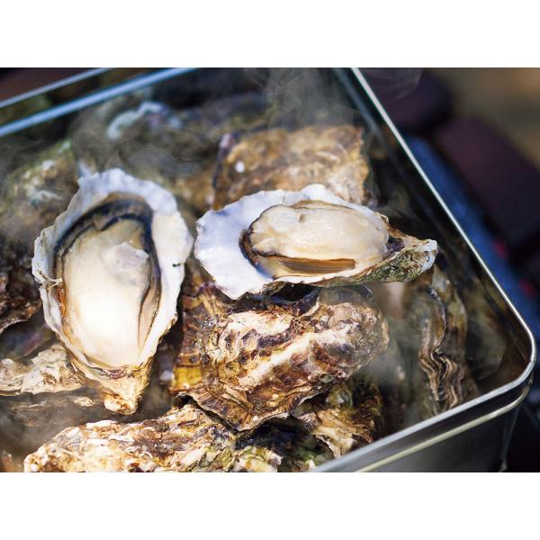【発売日：2025年03月28日】広島牡蠣の身太りが最も良くなる時期に水揚げされた殻付牡蠣を鮮度・風味そのままに殻ごと冷凍し、カンカン焼きのセットにしました。軍手とナイフも付いており、カセットコンロでもアウトドアでも簡単に牡蠣のカンカン焼き...