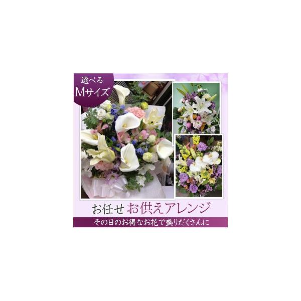 盆　初盆　供　彼岸　命日　法要　四十九日　一周忌★冬季寒冷地へのお届け、3日以上到着に日数を要する地方、　または夏期の離島などクール便の効かない地域へのお届などは　その都度、状況を確認し、お受けできないこともございますのでご了承ください。★...