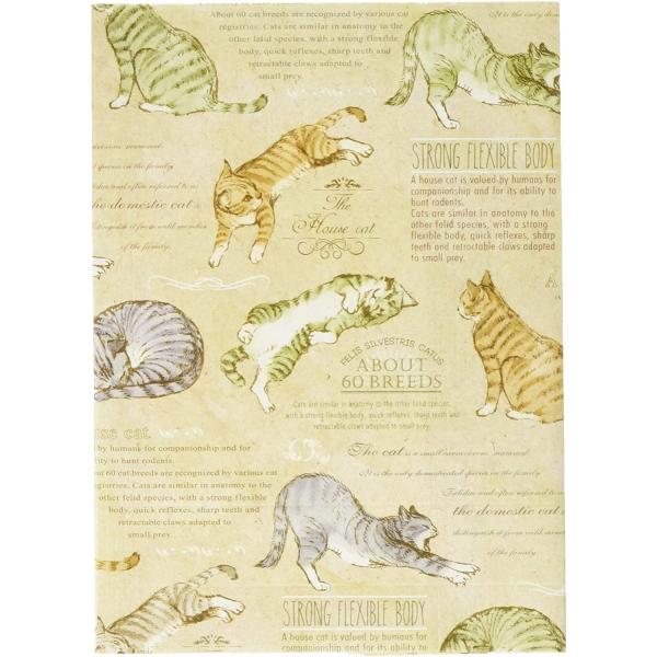 お手持ちの本にあわせて折っていくだけで、様々なサイズの本にぴたりとフィットするブックカバーが完成します。主な本のサイズには折れ筋やガイドの線が入っており大変折りやすくなっています。別の本に付け替えたいときも外して折り直すだけなのでとても簡単...