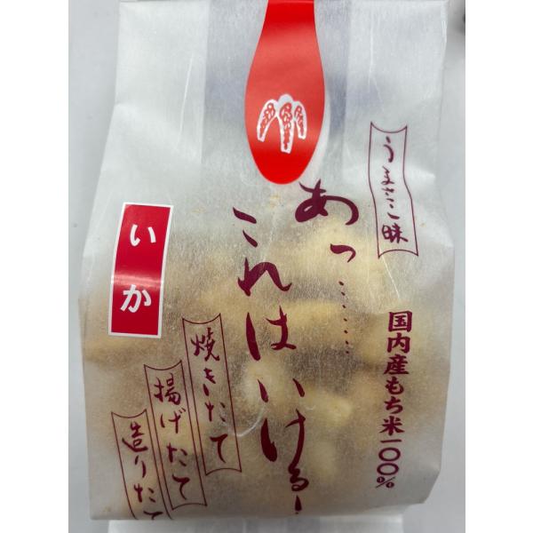 やめられない　いかの美味しさ！おつまみにも最適