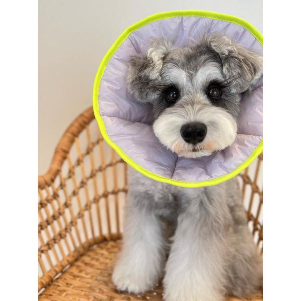 【お手入れ方法】・普段の手入れ 　ぬれタオルでさっと拭く。・洗濯機使用は基本的に不可。　液温は40℃を限度とし、手洗いによる洗濯処理ができます。#ペット用品#犬服#猫服#エリザベスカラー#おしゃれ#かわいい