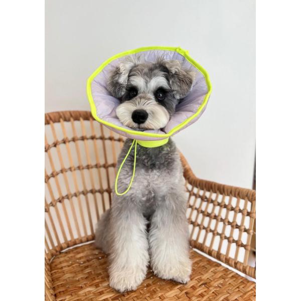 【お手入れ方法】・普段の手入れ　ぬれタオルでさっと拭く。・洗濯機使用は基本的に不可。　液温は40℃を限度とし、手洗いによる洗濯処理ができます。#ペット用品#犬服#猫服#エリザベスカラー#おしゃれ#かわいい