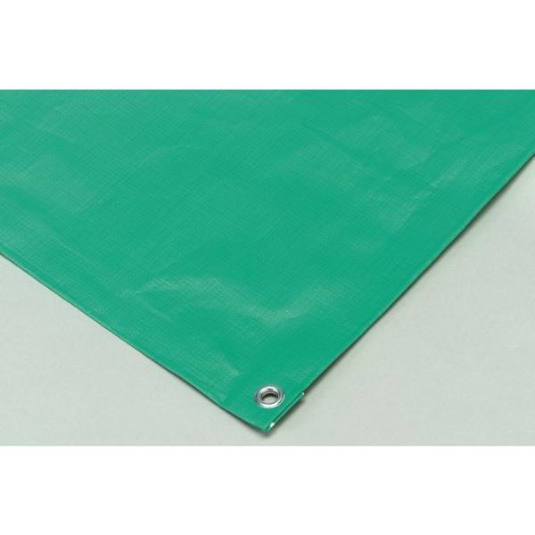 商品情報長さ11m×幅6m×厚さ0.36mm素材：ポリエチレン質量：14.3kg1m間隔でハトメ付UV加工※当店は「株式会社エバニュー」の正規販売代理店につきインボイス対応可能です。※こちらの商品はメーカーからの直送となります。※北海道、四...