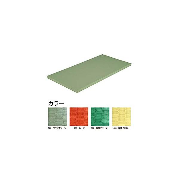 【法人限定】 EVERNEW エバニュー EKR002 100 2関西 柔道用畳ソフト 赤 メーカー直送 kohakushop_ekr002-100-s