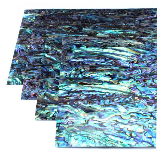 ☆美しくカラフル・天然色・ニュージーランドパウアシェルのシート 大判 １枚☆ニュージーランドパウアシェルのシートです。補強のための仮コーティング(オモテ：クリア ウラ面：ブラック)が施されています。世界でいちばんカラフルな貝と言われるニュー...