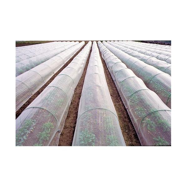 ◇◇ １ｍｍ目合いで害虫の侵入を防ぎます。 ※画像は使用イメージです。