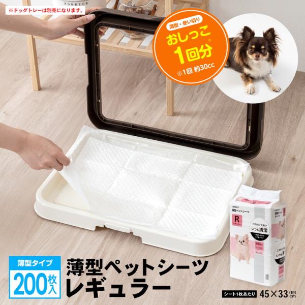 トイレシーツoペットシートo犬oイヌo犬シーツoトイレoコーナン KNPS,薄型ペットシーツ　◇◇ 【サイズ】約幅450×奥行330×厚み１ｍｍ 【特長】 ●1回使い捨ての低価格ペットシーツ 【仕様】 ●材質 　吸収材：高分子吸収体(ポリマ...