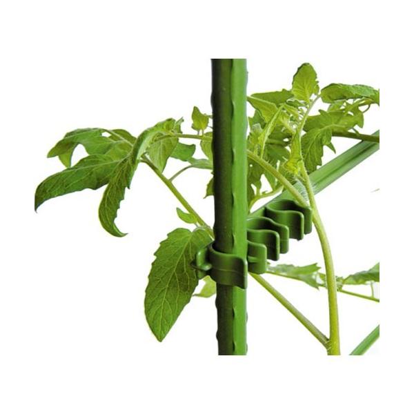 ◇◇ 支柱同士を連結させ、花の広がりや野菜の茎や幹の保持などに使えます！ サポート支柱の補足アーム。 支柱（別売）同士を連結させ、野菜の茎や幹の保持や、多年草などの花の広がり防止、間仕切りにも使用できます。 使い方をアレンジし、トレリスとし...