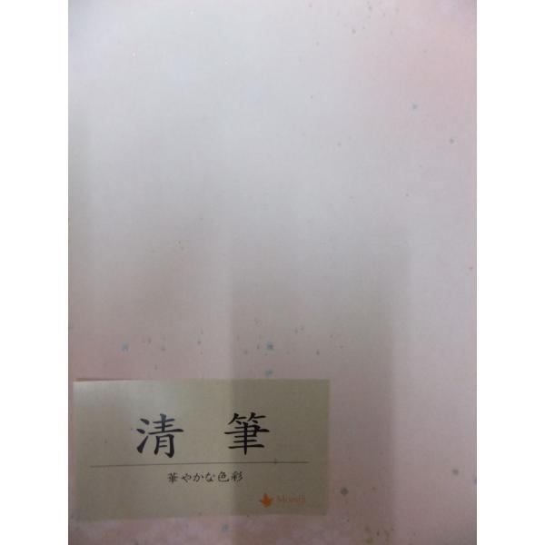 〇色彩が明るく華やか。中字向き。〇ざらつきはある紙質です。