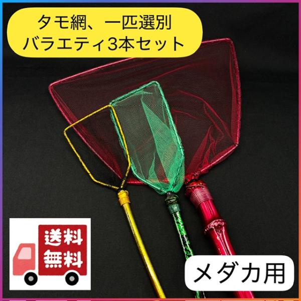お待たせしました、小泉化学メダカ部のメダカ用タモ網をネットにて販売します！弊社裏手にある竹林から切り出した竹を、一つ一つ丁寧に炉(ろ)で乾燥させた【軽さへの追求】網の素材には柔らかく水切れの良い、15デニールのチュール生地を使用した生体に対...