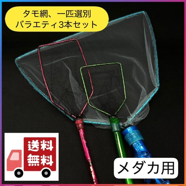 お待たせしました、小泉化学メダカ部のメダカ用タモ網をネットにて販売します！弊社裏手にある竹林から切り出した竹を、一つ一つ丁寧に炉(ろ)で乾燥させた【軽さへの追求】網の素材には柔らかく水切れの良い、15デニールのチュール生地を使用した生体に対...