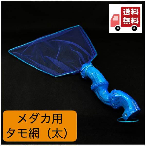 お待たせしました、小泉化学メダカ部のメダカ用タモ網をネットにて販売します！弊社裏手にある竹林から切り出した竹を、一つ一つ丁寧に炉(ろ)で乾燥させた【軽さへの追求】網の素材には柔らかく水切れの良い、15デニールのチュール生地を使用した生体に対...