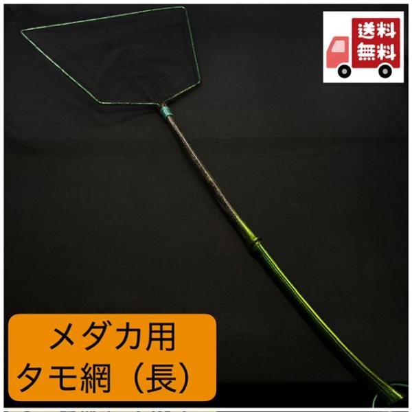お待たせしました、小泉化学メダカ部のメダカ用タモ網をネットにて販売します！弊社裏手にある竹林から切り出した竹を、一つ一つ丁寧に炉(ろ)で乾燥させた【軽さへの追求】網の素材には柔らかく水切れの良い、15デニールのチュール生地を使用した生体に対...