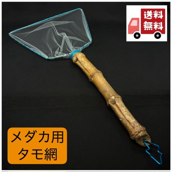 お待たせしました、小泉化学メダカ部のメダカ用タモ網をネットにて販売します！弊社裏手にある竹林から切り出した竹を、一つ一つ丁寧に炉(ろ)で乾燥させた【軽さへの追求】網の素材には柔らかく水切れの良い、15デニールのチュール生地を使用した生体に対...