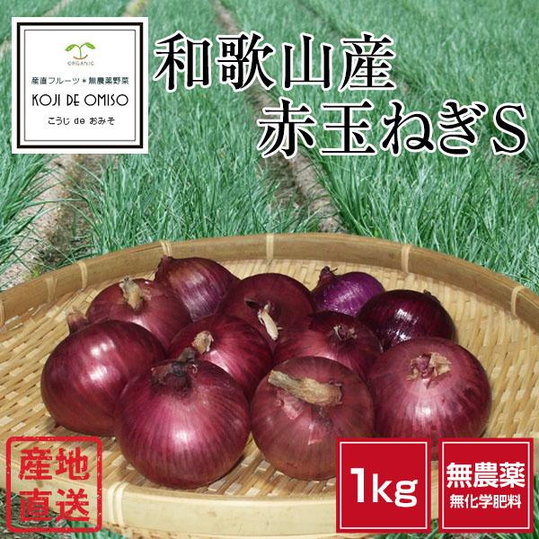 ■複数ご注文いただいた場合、特にご要望がない限りまとめて箱詰めになります。■土が付いた状態でお届けの場合もあります。■青果物、発酵食品は、必ずお届け日当日にお受け取りください。■翌日「午前」「12:00〜14:00」お届け可能地域は、関西、...