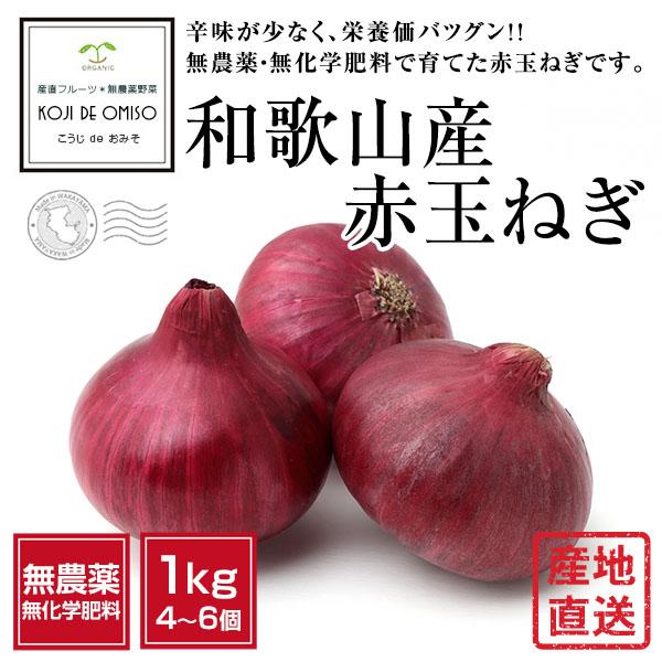 ■複数ご注文いただいた場合、特にご要望がない限りまとめて箱詰めになります。■青果物、発酵食品は、必ずお届け日当日にお受け取りください。■翌日「午前」「12:00〜14:00」お届け可能地域は、関西、東京23区、名古屋市のみになります。※上記...