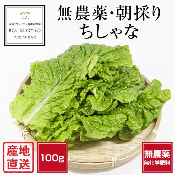 ■青果物、発酵食品は、必ずお届け日当日にお受け取りください。■翌日「午前」「12:00〜14:00」お届け可能地域は、関西、東京23区、名古屋市のみになります。※上記以外の地域は、概ね14:00以降（一部地域16:00以降）、遠方の地域（東...