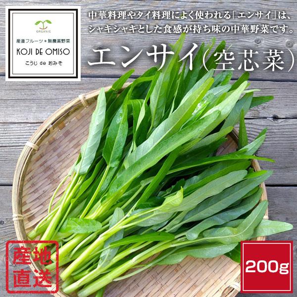 ■青果物、発酵食品は、必ずお届け日当日にお受け取りください。■翌日「午前」「12:00〜14:00」お届け可能地域は、関西、東京23区、名古屋市のみになります。※上記以外の地域は、概ね14:00以降（一部地域16:00以降）、遠方の地域（東...