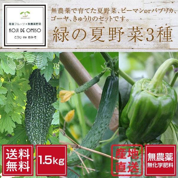 ■雨の日が続くと発送が遅くなる場合もあります。ご了承下さい。■各野菜サイズ、形状は不揃いになりますがご了承下さい。■各野菜の配分はおまかせください。■複数ご注文いただいた場合、特にご要望がない限りまとめて袋詰めになります。■青果物、発酵食品...