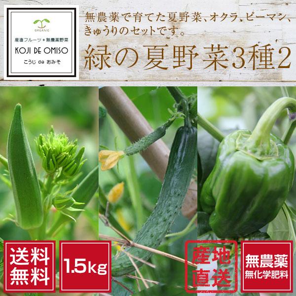■オクラは○型、☆型のいずれか、またはMIXになります。■各野菜サイズ、形状は不揃いになりますがご了承下さい。■各野菜の配分はおまかせください。■複数ご注文いただいた場合、特にご要望がない限りまとめて袋詰めになります。■青果物、発酵食品は、...
