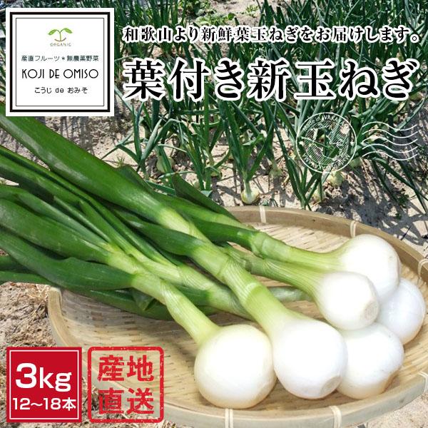 ■新玉ねぎは水分が多いため長期保存はできません。お早めにお召し上がりください。■複数ご注文いただいた場合、特にご要望がない限りまとめて箱詰めになります。■青果物、発酵食品は、必ずお届け日当日にお受け取りください。■翌日「午前」「12:00〜...