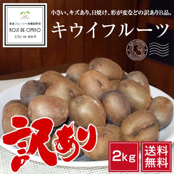 ■サイズ不揃い、小さい、変形、擦れキズ、あたりキズ、割れ、色むら、凹み、黒ずみ、しわ、日焼け有りなど、規格外の訳ありキウイフルーツです。ご了承の上お買い求め下さい。■複数ご注文いただいた場合、特にご要望がない限りまとめて箱詰めになります。■...