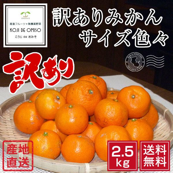 ■葉スレ、枝スレ、キズあり、少し浮皮が進んでいる、小さすぎる等のB品です。■サイズ：L・M・S混合■送料無料の商品と通常送料の商品をお買い上げの場合は送料無料となります。