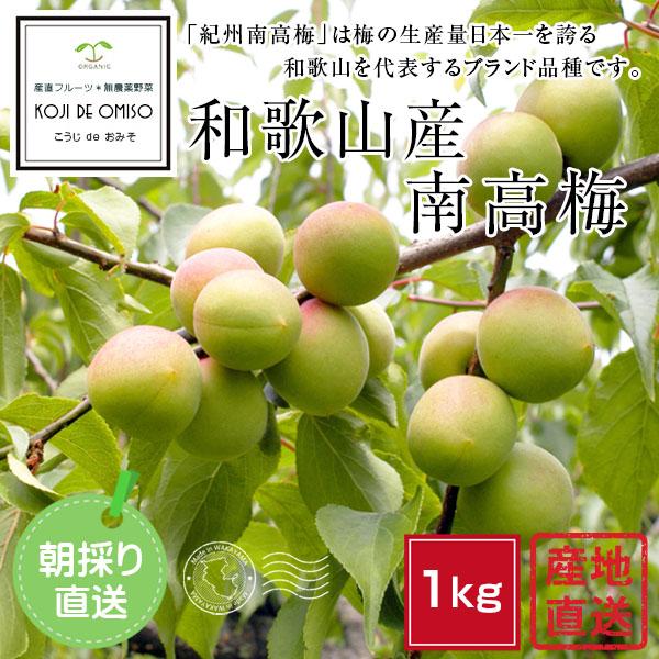 ■必ず発送翌日にお受け取りください。■2L以上（大きさ不揃い）■翌日「午前」「12:00〜14:00」お届け可能地域は、関西、東京23区、名古屋市のみになります。※上記以外の地域は、概ね14:00以降（一部地域16:00以降）、遠方の地域（...