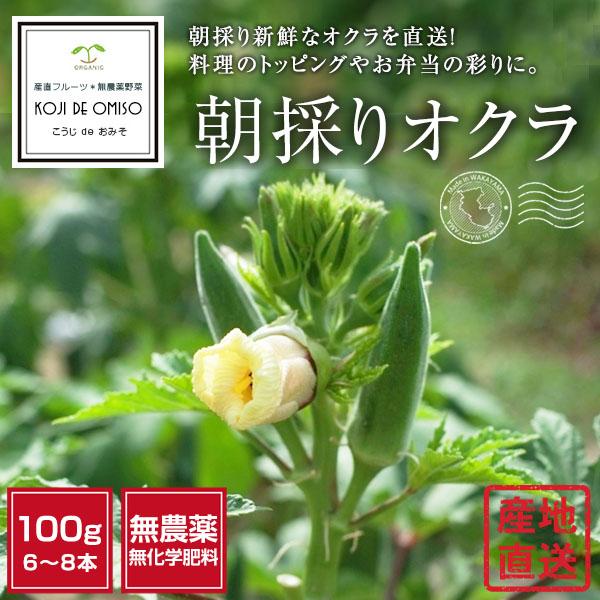 ■○型のオクラは☆型のオクラよりやや長く、成長してもやわらかいので生でも美味しく食べることができます。■雨の日が続くと発送が遅くなる場合もあります。ご了承下さい。■サイズは不揃いになります。■青果物、発酵食品は、必ずお届け日当日にお受け取り...