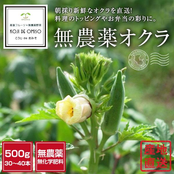 ■○型のオクラは☆型のオクラよりやや長く、成長してもやわらかいので生でも美味しく食べることができます。■雨の日が続くと発送が遅くなる場合もあります。ご了承下さい。■サイズは不揃いになります。■青果物、発酵食品は、必ずお届け日当日にお受け取り...