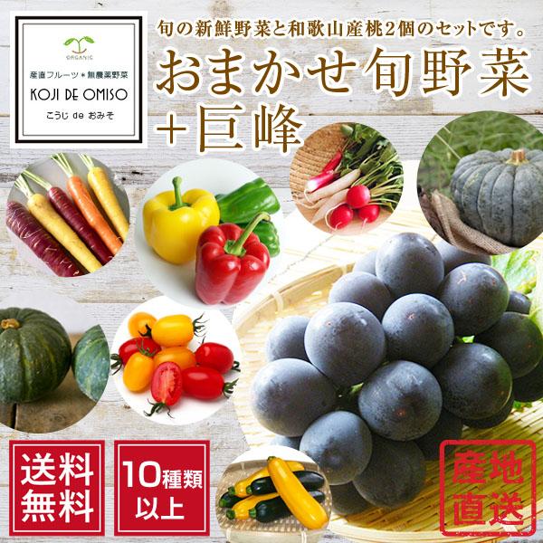 ■こちらの商品は全ての野菜が無農薬栽培または低農薬栽培になります。多少の虫喰い、また稀に小さな虫が入る場合もあります。ご理解の上お買い求めいただきますようお願いいたします。■青果物、発酵食品は、必ずお届け日当日にお受け取りください。■翌日「...