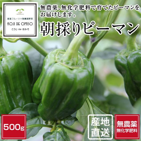 ■雨の日が続くと発送が遅くなる場合もあります。ご了承下さい。■サイズ、形状は不揃いになりますがご了承下さい。■青果物、発酵食品は、必ずお届け日当日にお受け取りください。■複数ご注文いただいた場合、特にご要望がない限りまとめて袋詰めになります...