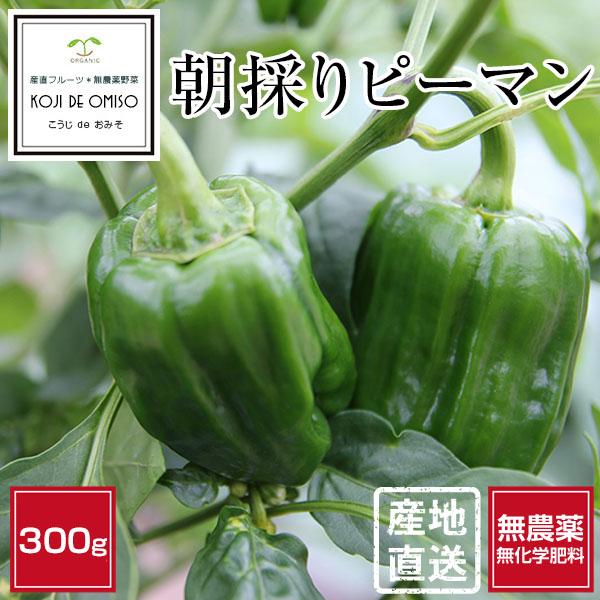 ■複数ご注文いただいた場合、特にご要望がない限りまとめて袋詰めになります。■サイズ、形状は不揃いになりますがご了承下さい。■青果物、発酵食品は、必ずお届け日当日にお受け取りください。■翌日「午前」「12:00〜14:00」お届け可能地域は、...