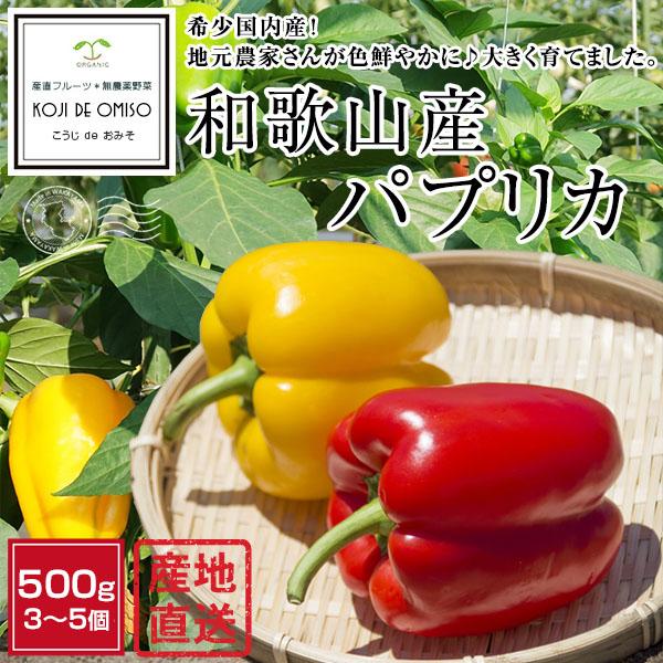 ■青果物、発酵食品は、必ずお届け日当日にお受け取りください。■複数ご注文いただいた場合、特にご要望がない限りまとめて袋詰めになります。■翌日「午前」「12:00〜14:00」お届け可能地域は、関西、東京23区、名古屋市のみになります。※上記...
