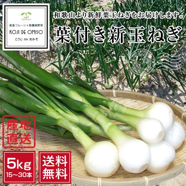 ■新玉ねぎは水分が多いため長期保存はできません。お早めにお召し上がりください。■複数ご注文いただいた場合、特にご要望がない限りまとめて箱詰めになります。■青果物、発酵食品は、必ずお届け日当日にお受け取りください。■翌日「午前」「12:00〜...